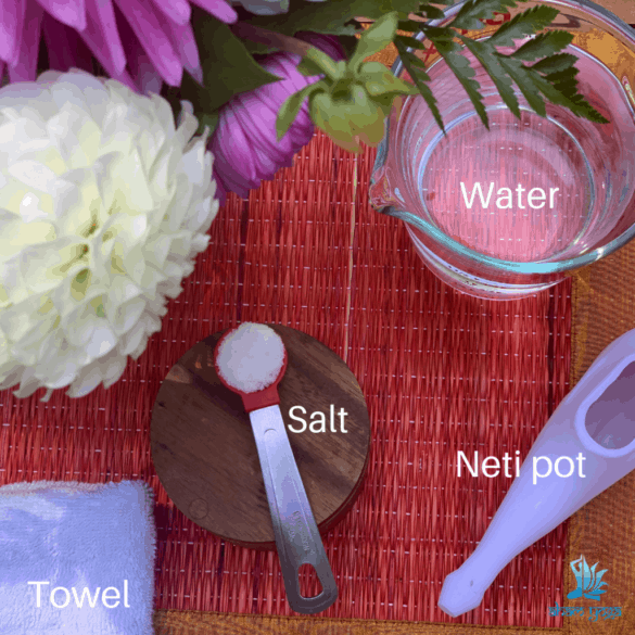 YOUTUBE: Jala Neti 101 for Everybody - Aham Yoga Blog